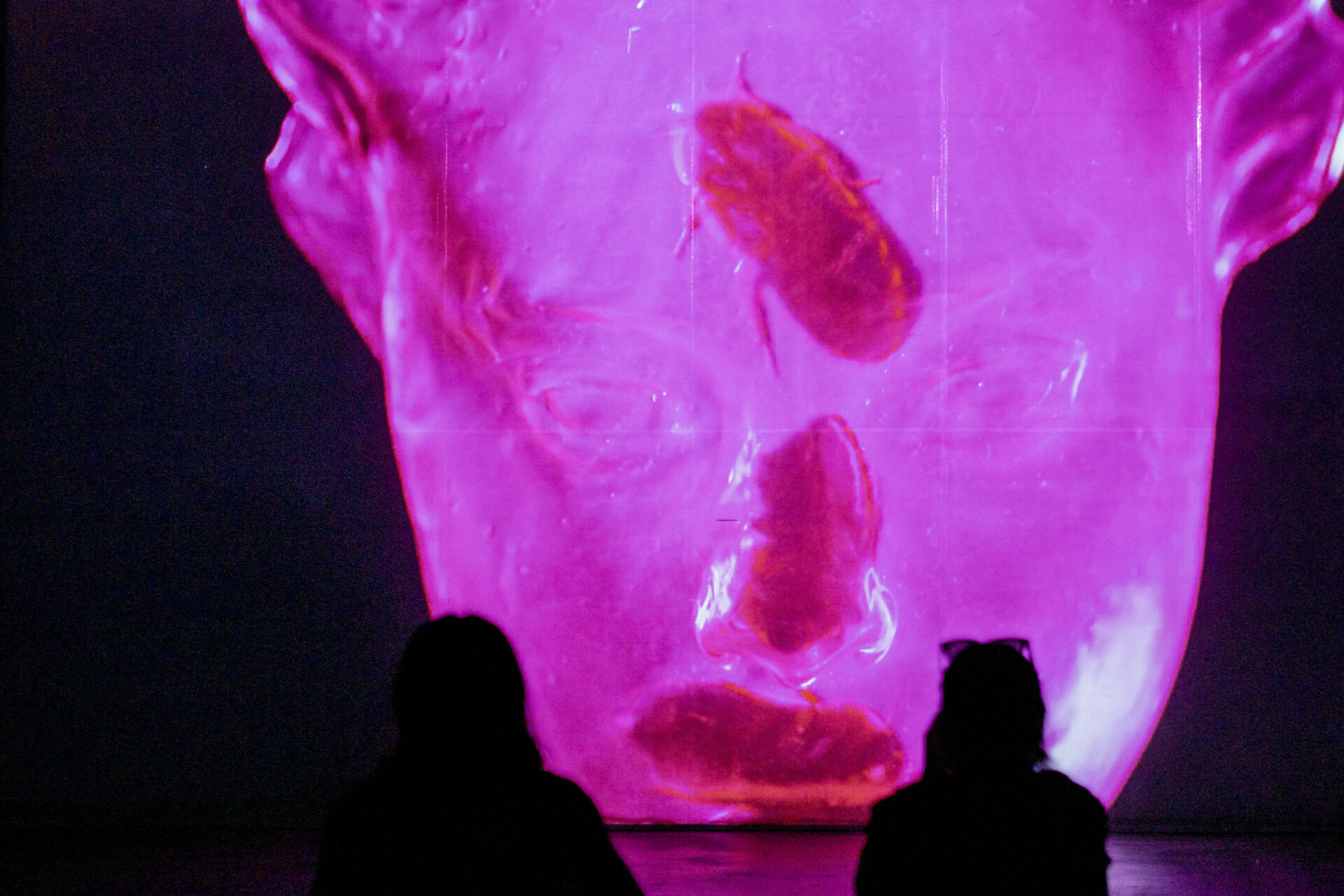 Parasite Selfie – Homecoming – cheLA